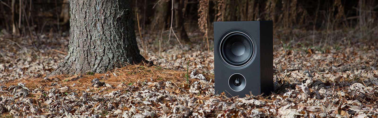 PSB Speakers – Atlas Sound & Vision